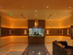 Aquarium in Your Office or Commercial Space