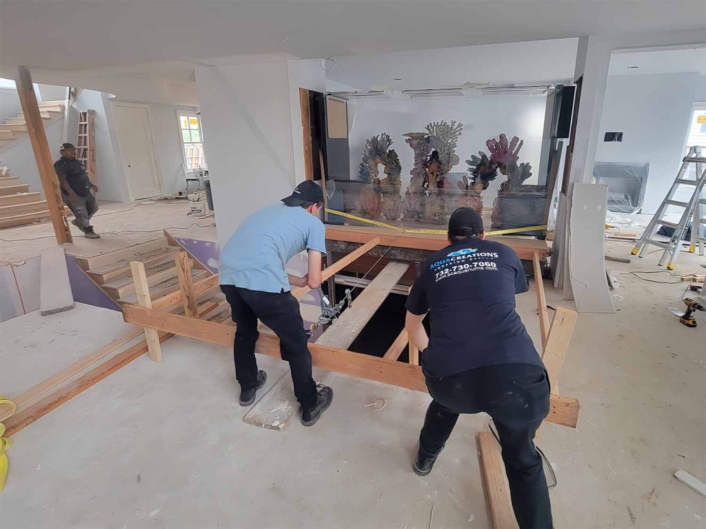 Custom Large Aquarium Project | Aqua Creations