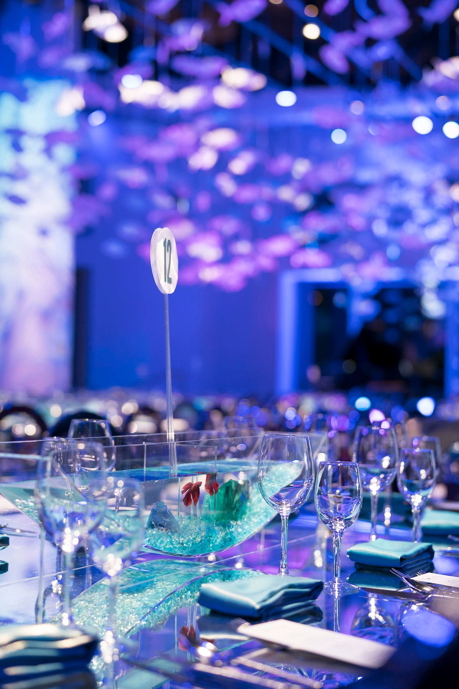 Custom Tabletop Aquariums and Fish Tanks | NJ, NY, PA