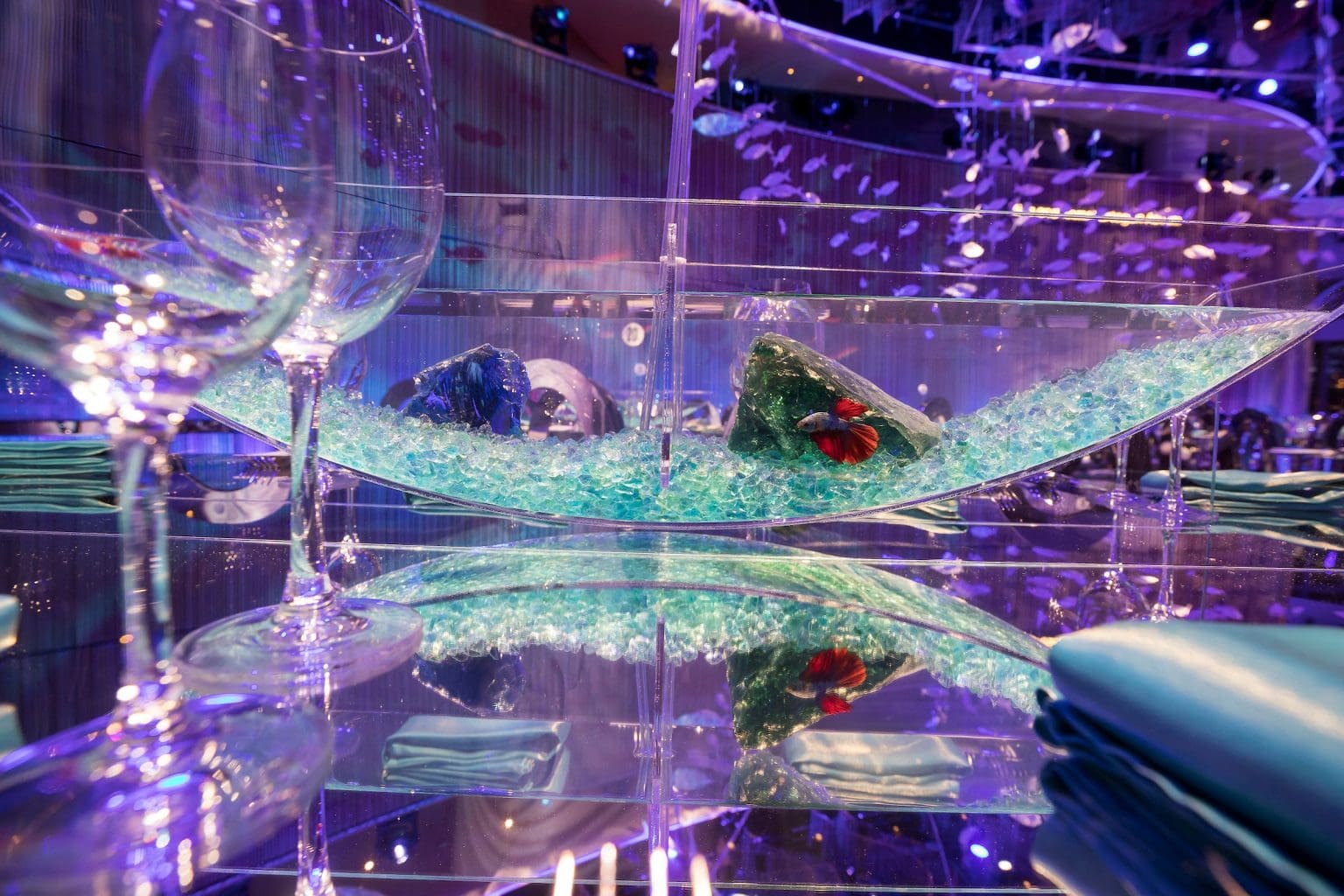 Custom Tabletop Aquariums and Fish Tanks | NJ, NY, PA