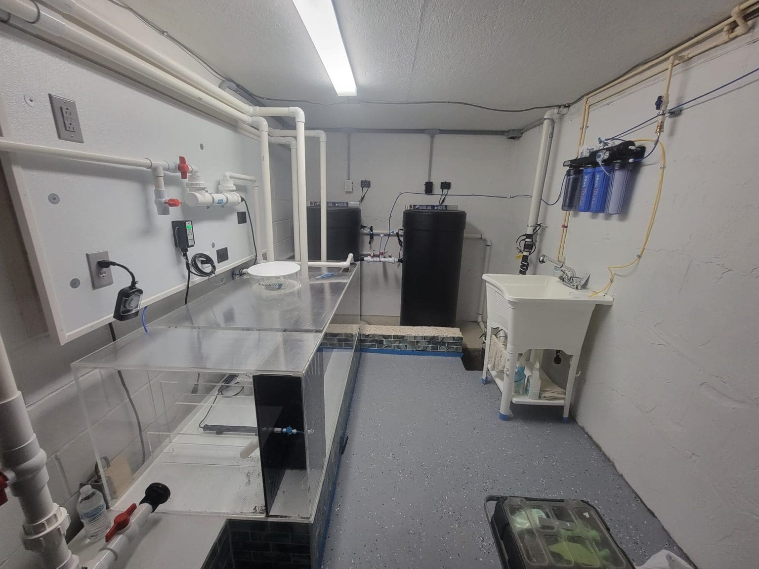 Key Points for Choosing a Custom Fish Tank Builder | Aqua Custom Fish Tanks