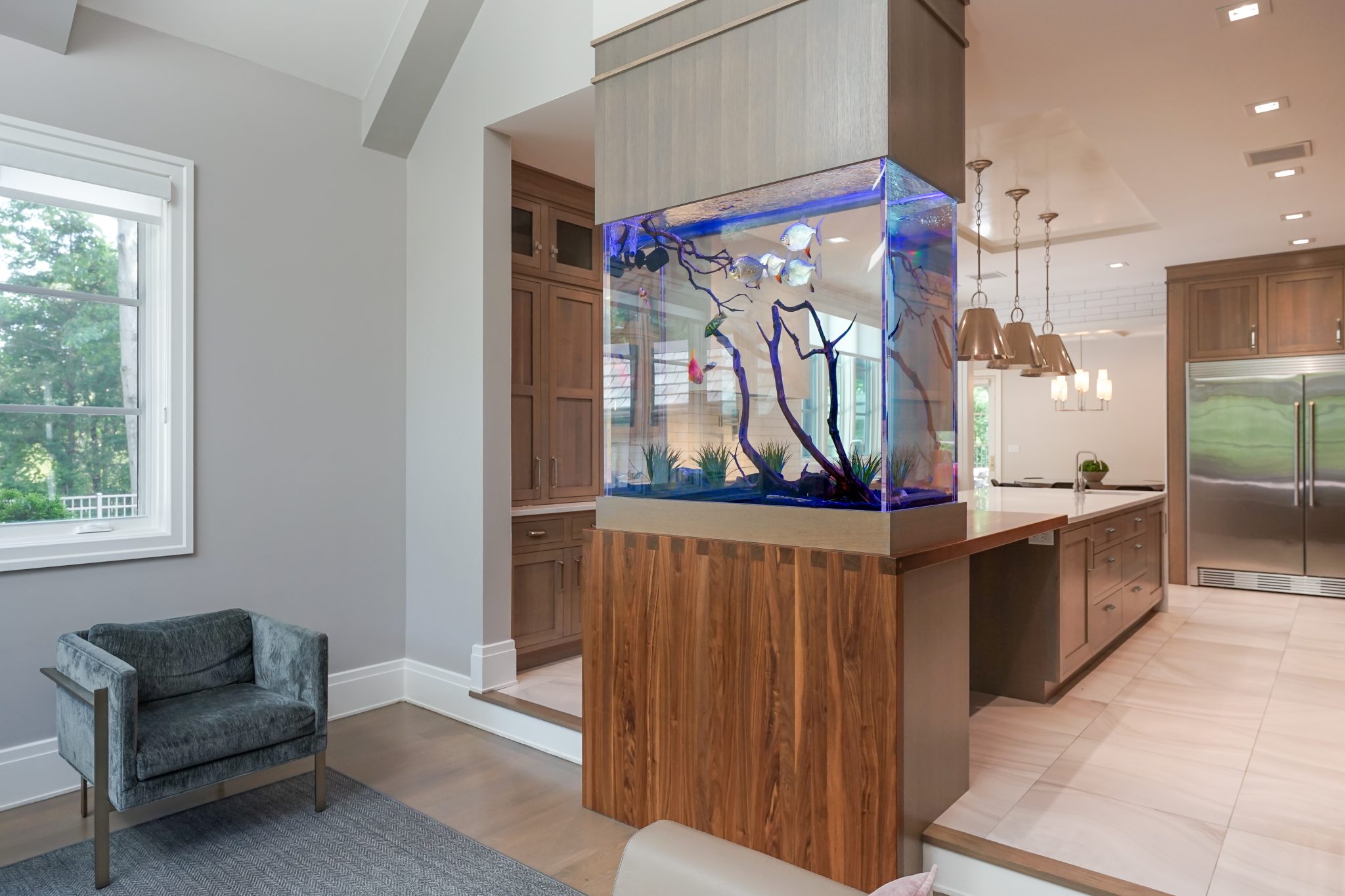 Custom Freshwater Aquariums: Complete Guide | Aqua Creations