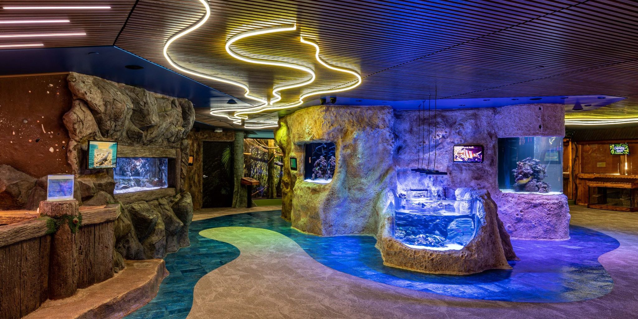 Commercial Aquariums for Different Industries | Aqua Creations