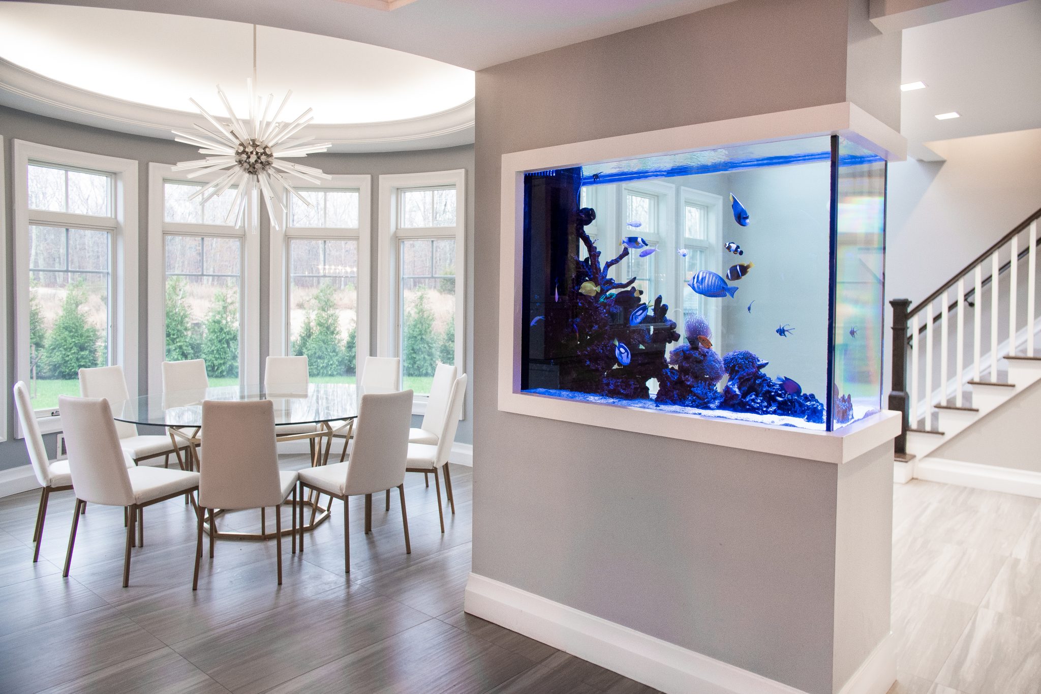 Custom Peninsula Reef Aquarium Room Divider in Lakewood NJ